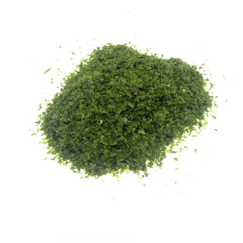 Buy Wholesale Canada Sea Lettuce Seaweed Powder/ Dried Ulva Lactuca ...