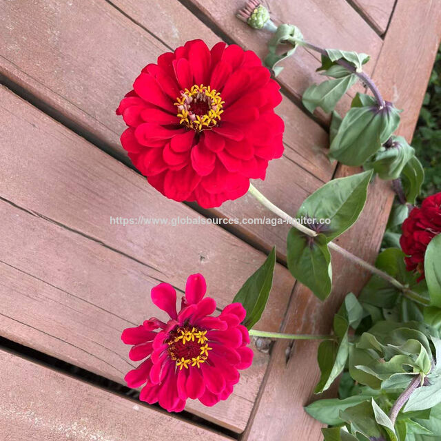 Buy China Wholesale Audiophile Series 5 Way Crossover Network 50x30x30 ...