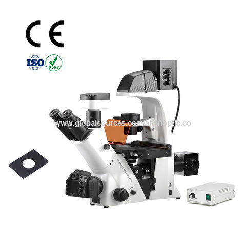 Buy Wholesale China Microscope Vintage Motic Ba310e Fluorescence ...