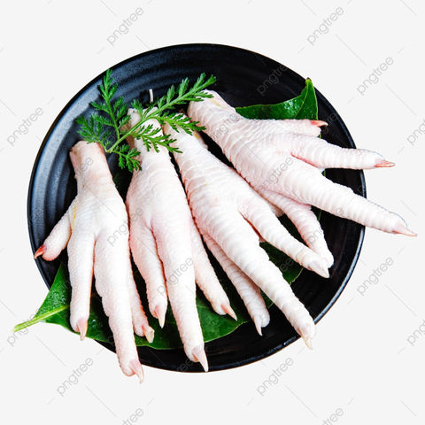 Buy Wholesale Canada Wholesale Fresh Frozen Chicken Paws Raw Chicken ...