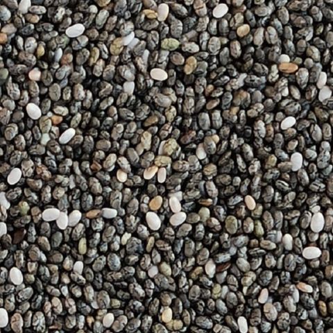 Buy Wholesale India Black Chia Seeds Plant Name: Salvia Hispanica – Hs ...