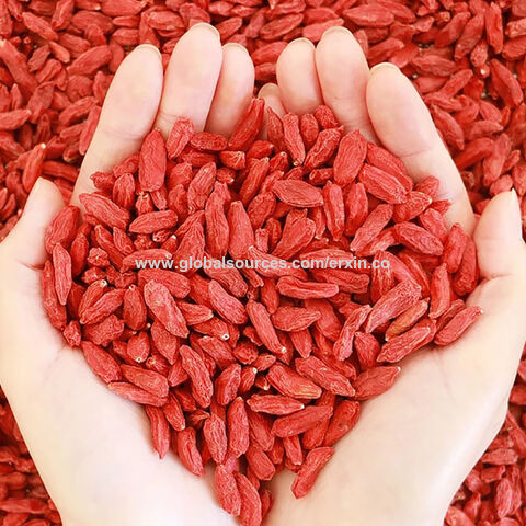 Buy Wholesale China Medium Size 380 Grain Goji Berry Kosher And Halal ...