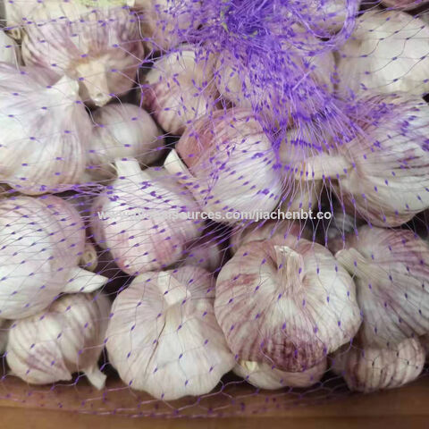 Super Quality Fresh Normal White Garlic, vegetable fresh Garlic - Buy ...