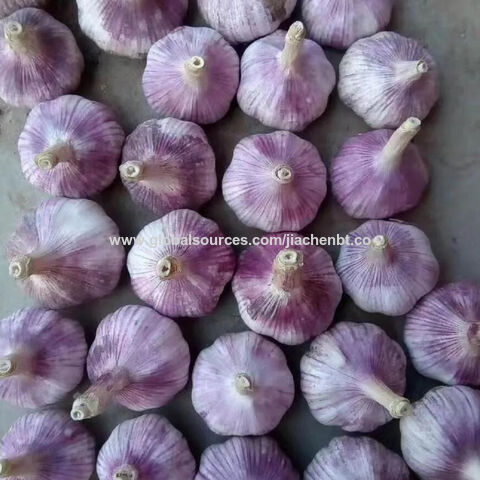 Buy Wholesale China Loose Packing Fresh Garlc New Crop Chinese Normal ...