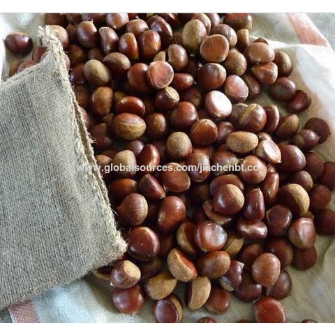 Buy Wholesale China Chinese Fresh Chestnut In Gunny Bag/small Bag ...