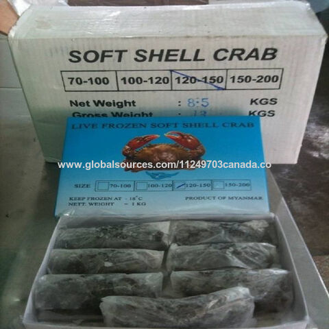 Buy Wholesale Canada Frozen Soft Shell Crab & Soft Shell Crab at USD ...
