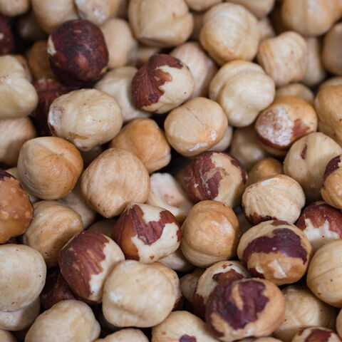 Buy Wholesale Belgium Hazelnut With Good Quality Wholesale & Hazelnut ...