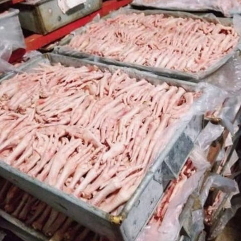 Buy Wholesale United States Bulk Frozen Chicken Feet Chicken Paws ...