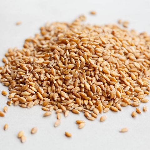 High quality wheat for sale, Yellow corn Mustard Seeds Flax Seeds - Buy ...