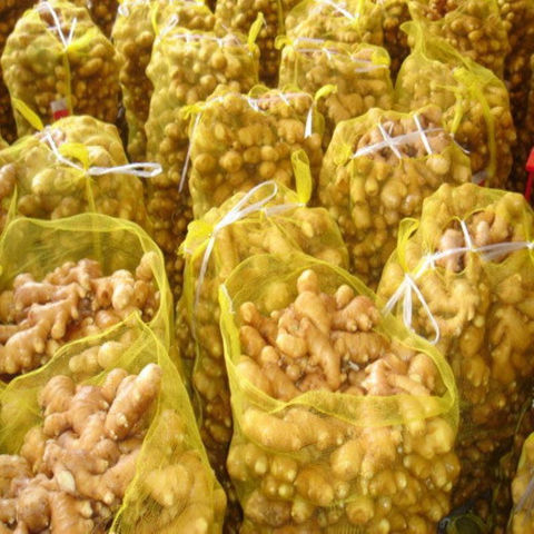 Buy Wholesale United States Fresh Ginger For Sale,fresh Ginger ...