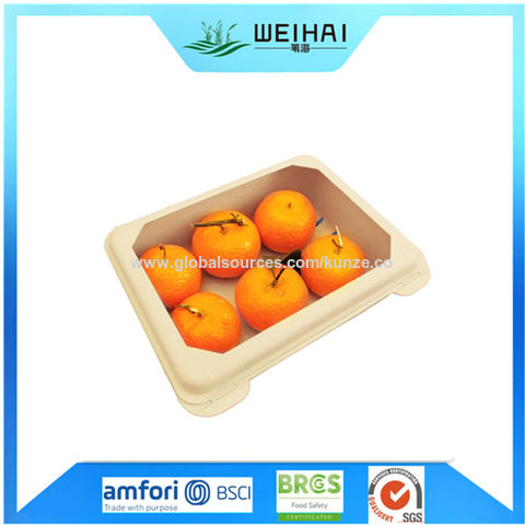 Biodegradable Food Packaing Boxes Eco-friendly Bagasse Sugarcane Pulp ...