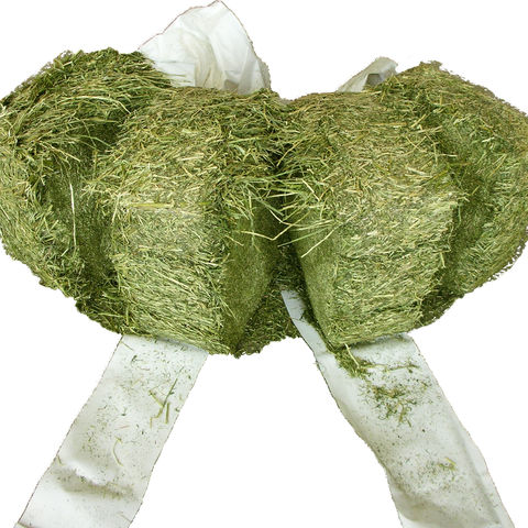 Buy Wholesale Turkey Hay Bales ,alfafa Hay Premium Grade Stock Ready To ...