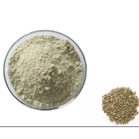 Buy Wholesale United States Wholesale Bulk Hemp Seed With Export Hemp ...
