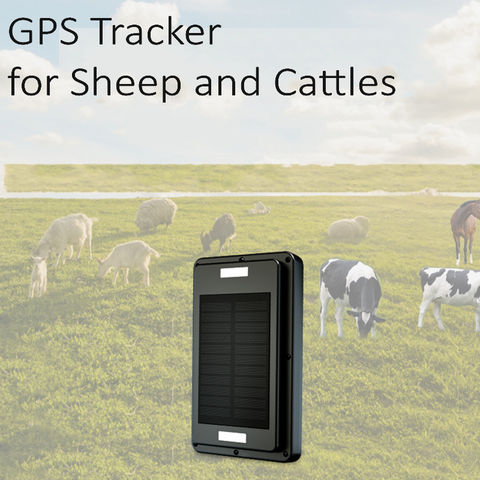 Buy Wholesale China Smart Gps Tracker & Locator 2g/4g Available, Cow Gps Tracker For Sheep ...