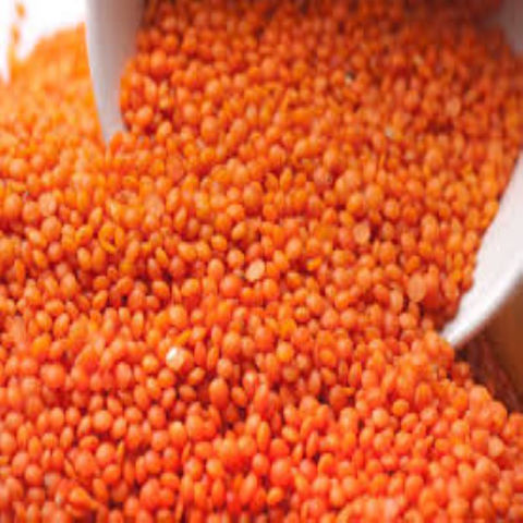 Buy Wholesale United States Red Lentils, Green Lentils, Yellow Lentils ...
