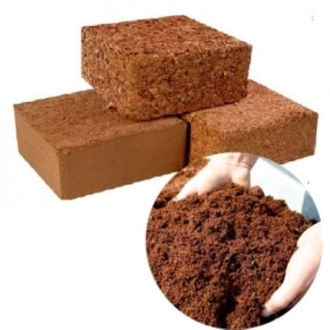 Buy Wholesale United States Cocopeat - Coir Pith - Coco Peat Best Price ...