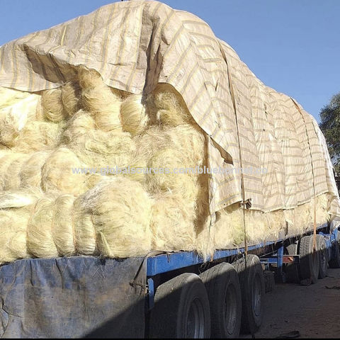 Buy Wholesale United States Wholesale Sisal Fibre | Textile Sisal Fiber ...