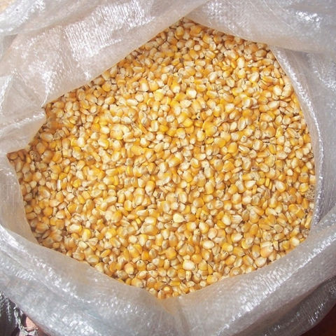 Affordable Dried Yellow Maize Corn, Non-GMO Yellow Corn & White Corn/Maize for Human & Animal ...