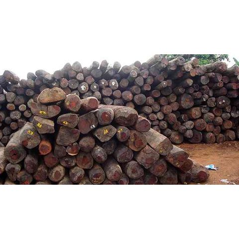 Buy Wholesale United Kingdom Hot Sale Brown Rose Wood Logs For ...