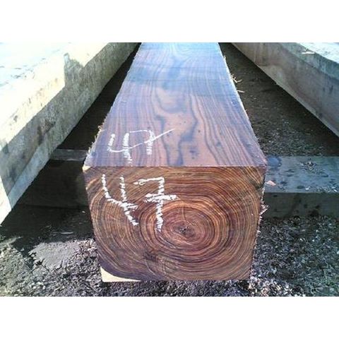 Buy Wholesale United Kingdom Buy Hardwood Rose Wood Round Logs & Rose ...