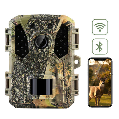 Buy Wholesale China Mini 24 Mp Hd Waterproof Animal Surveillance ...