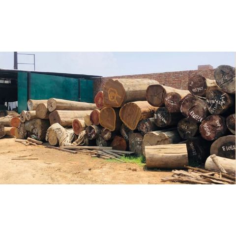 Buy Wholesale United Kingdom MOVINGUI BOSSE OKAN TALI AFRICAN HARDWOOD ...