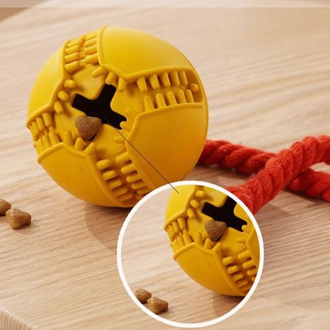 Buy Wholesale China Jolly Ball With Rope Enrichment Treat Ball & Treat ...