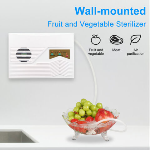 Buy Wholesale China Ozone Generator Ionizer Air Purifier,fruit And ...