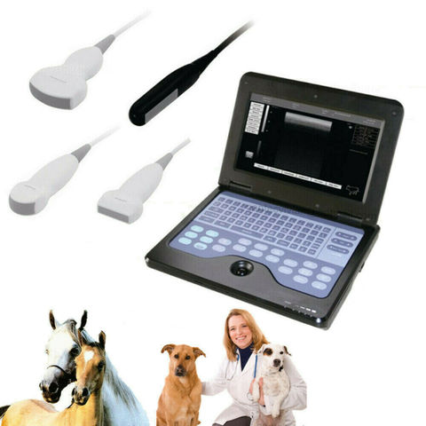 Buy Wholesale China Pig Sheep Pregnancy Ultrasound Scanner Veterinary ...