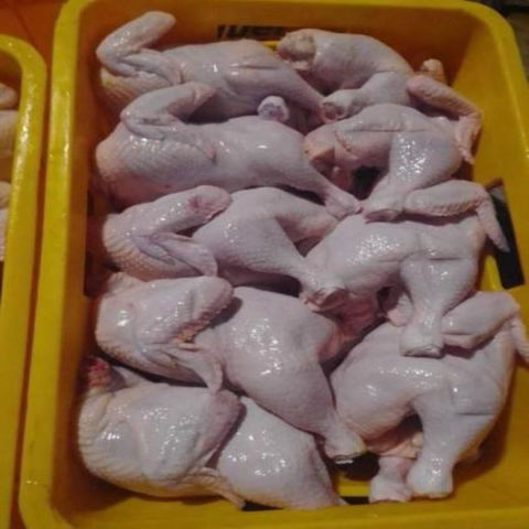 Buy Wholesale United States Frozen Chicken Breast,buy Frozen Chicken ...