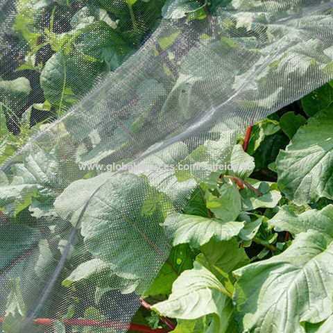 Buy Wholesale China Lnsect Net Custom Insect Nets Greenhouse ...