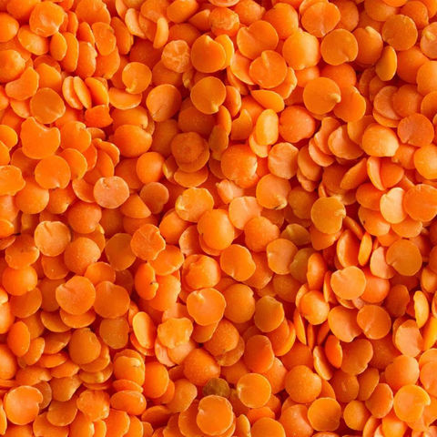 Buy Wholesale Canada Whole Dry Red Split Lentils Green Lentils 2.0mm/3 ...