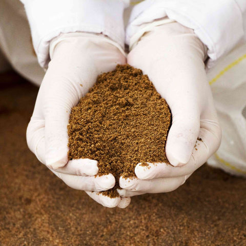 Buy Wholesale Canada Animal Feed Additives Pure Fish Meal 65% Protein ...