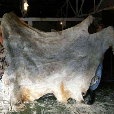 Buy Wholesale Canada Wet & Dry Salted Cow Hides/skin & Wet&dry Salted ...