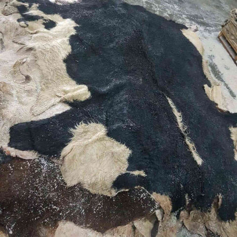 Buy Wholesale Canada Wet Salted Bull Hides & Wet Salted Bull Hides ...