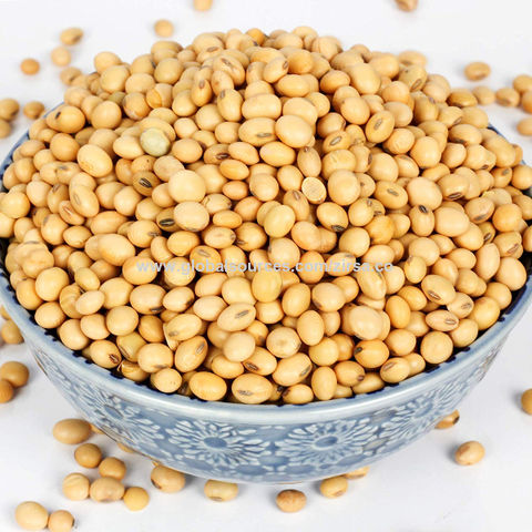Buy Wholesale Canada Soyabean Seeds & Soya Bean at USD 250 | Global Sources