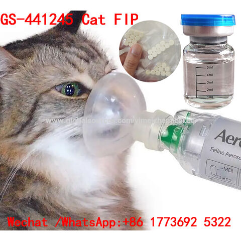 Buy Wholesale China Gs441524 Powder Cas 1191237-69-0 Vaterinary ...