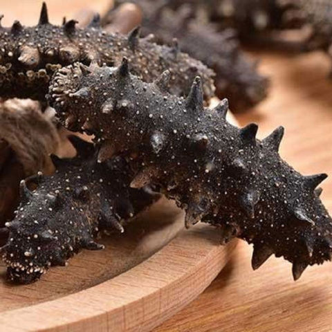Buy Wholesale United Kingdom Dried And Frozen Sea Cucumber Wholesale ...
