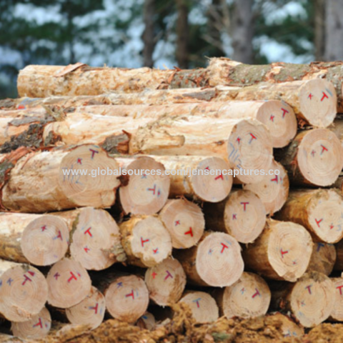 Buy Wholesale Canada African Mahogany Wood & Sawn Timber at USD 30 ...