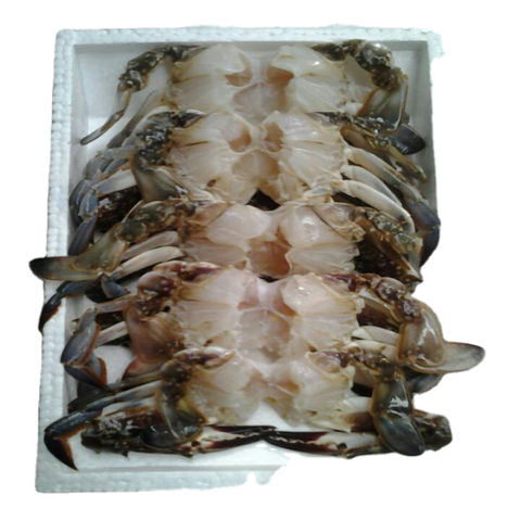 Buy Wholesale United States Fresh Frozen Mud Crab, Legs King Style Crab ...