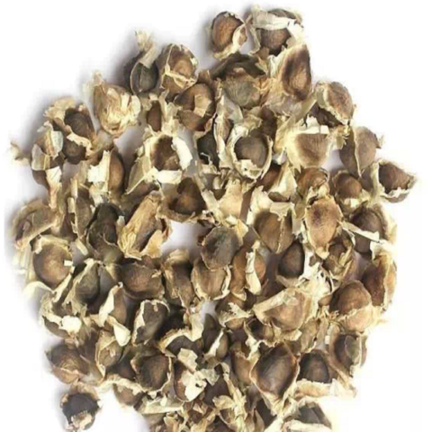 Buy Wholesale United States High Quality Moringa Seeds Extract ...