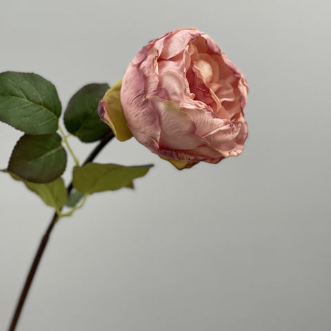 Buy Wholesale China Single Roasted Edge Rose Austin Artificial Vintage ...