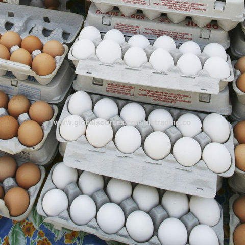 Buy Wholesale United States Buy Fresh Chicken Egg 30 Units Per Tray ...