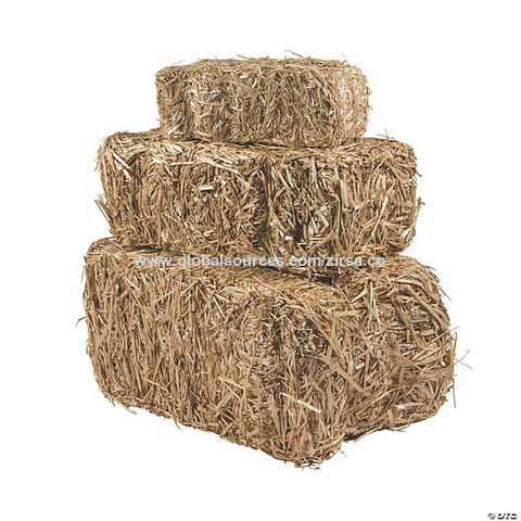 Buy Wholesale Canada Wheat Straw Hay & Wheat Straw at USD 70 | Global ...