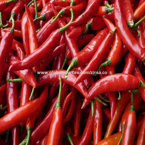 Buy Wholesale Canada Red Chilli Pepper & Red Chilli Pepper at USD 250 ...