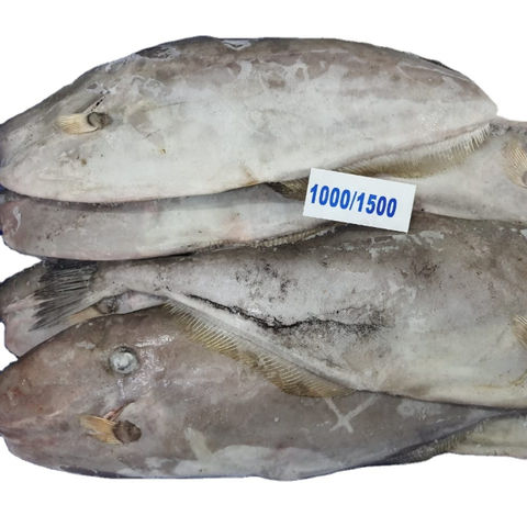 Buy Wholesale Canada Wholesale Frozen Leather Jacket Fish Available For ...