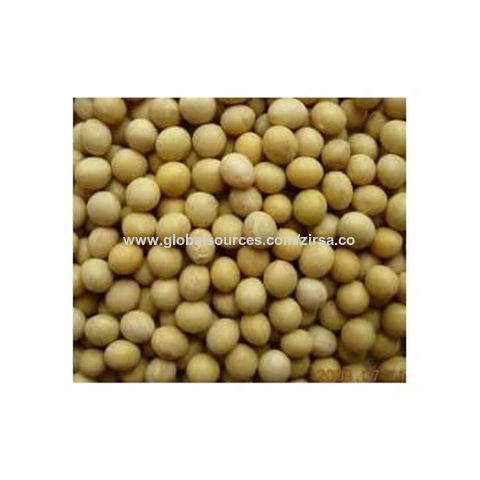 Buy Wholesale Canada Top Quality Non Gmo Soybean ( Soybean Seeds ...