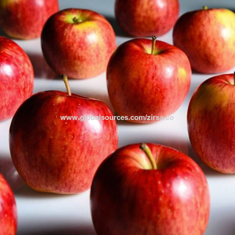 Buy Wholesale Canada Royal Gala Apple/fresh Fruit / Fresh Red Delicious ...