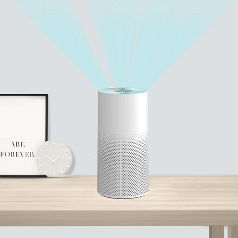 Buy Wholesale China Oem/odm Air Purifier,air Purifier With Hepa ...