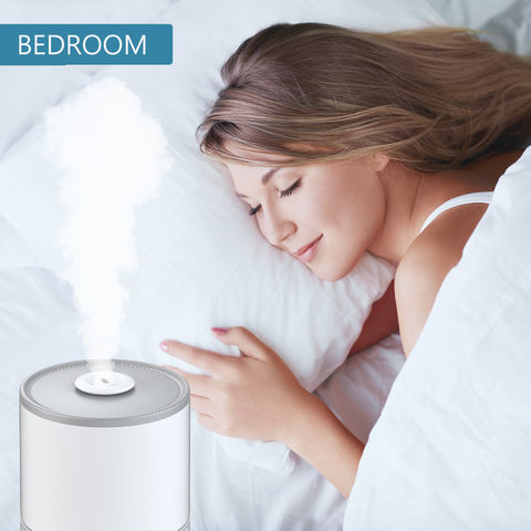 Air Purifiers 2l Smart Air Purifiers And Humidifiers And Filters, Top ...